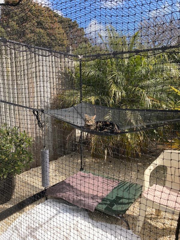 Premium Portable Cat Enclosure 1.8m – Catnets