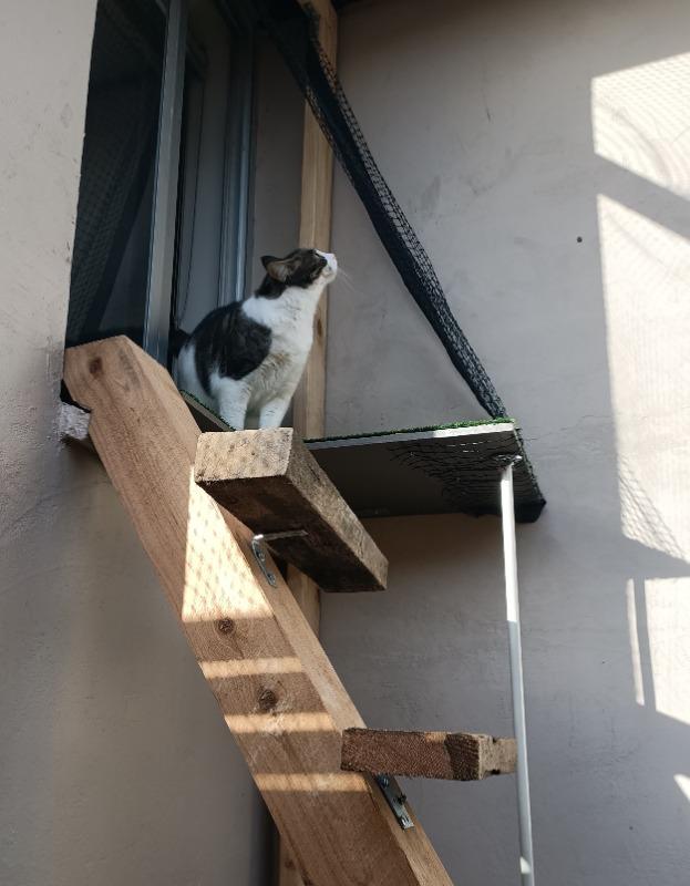 Cat Netting with Reinforced Edging 15m x 3m – Catnets New Zealand