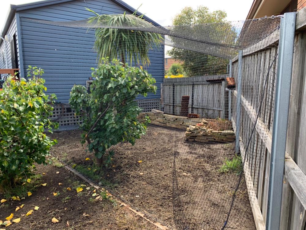 Cat Netting 10m x 10m Black – Catnets New Zealand