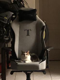 TITAN series gaming seats | Secretlab US