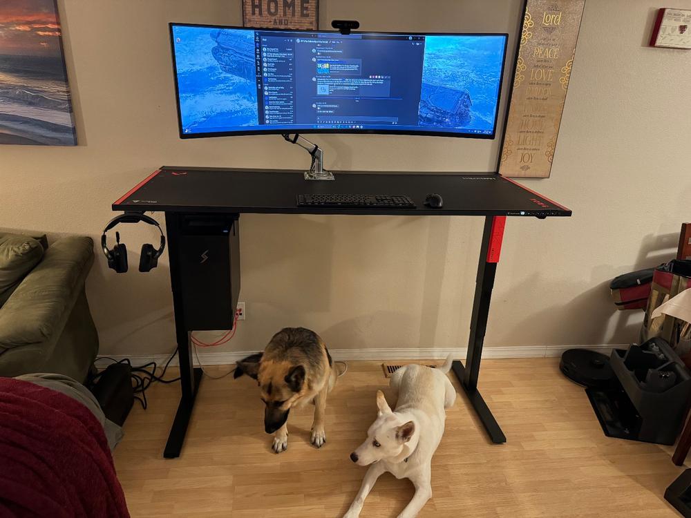 Secretlab Magnetic Cable Anchors (Set of 3) | Secretlab US