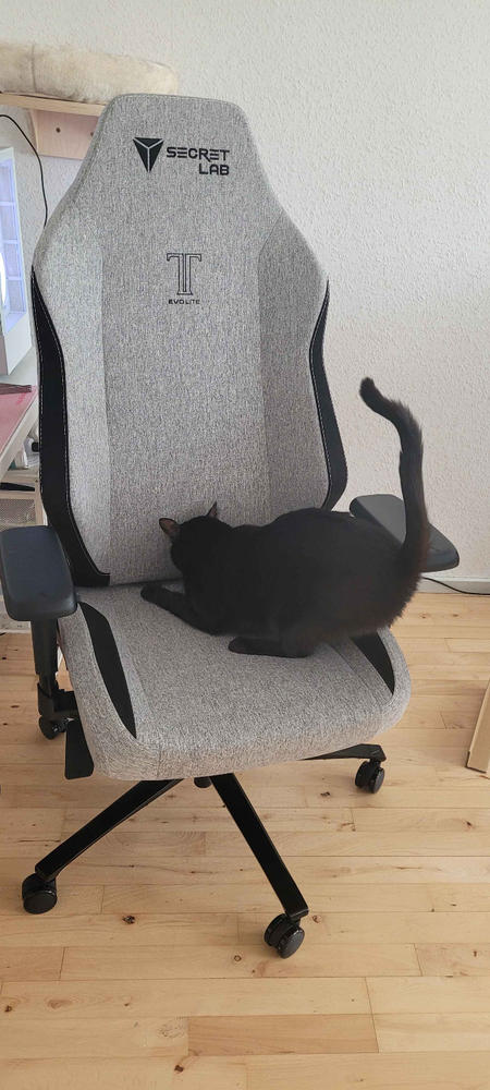 Secretlab OMEGA 2020 Gaming Chair | Secretlab MY