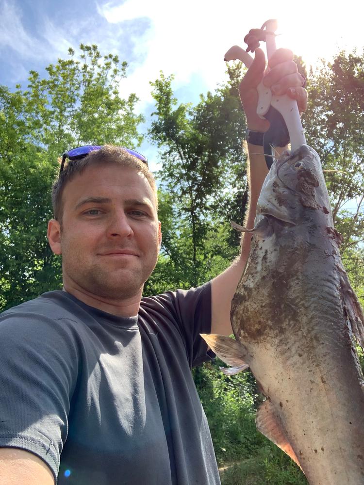 Original Chop Stick Catfishing Rod: Medium Heavy, 7' 6", 2-Piece, Sens ...