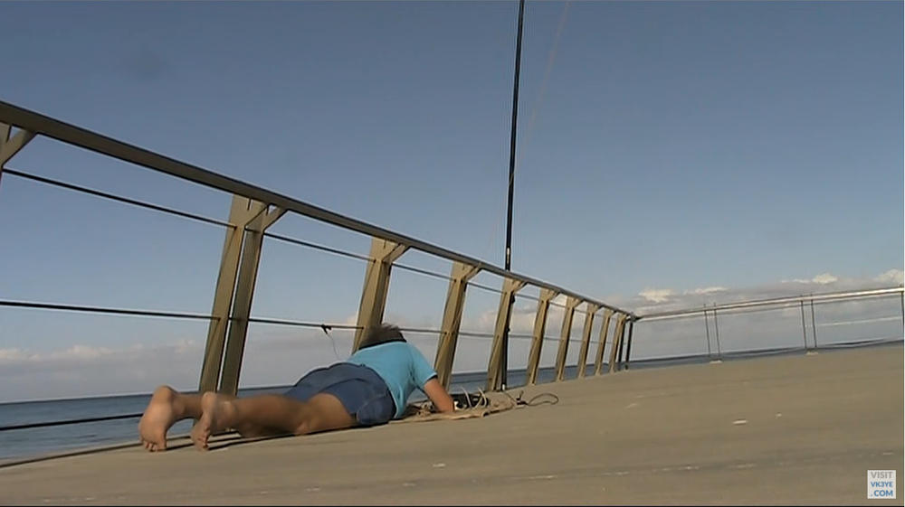 9m Telescopic Squid Pole – Haverford