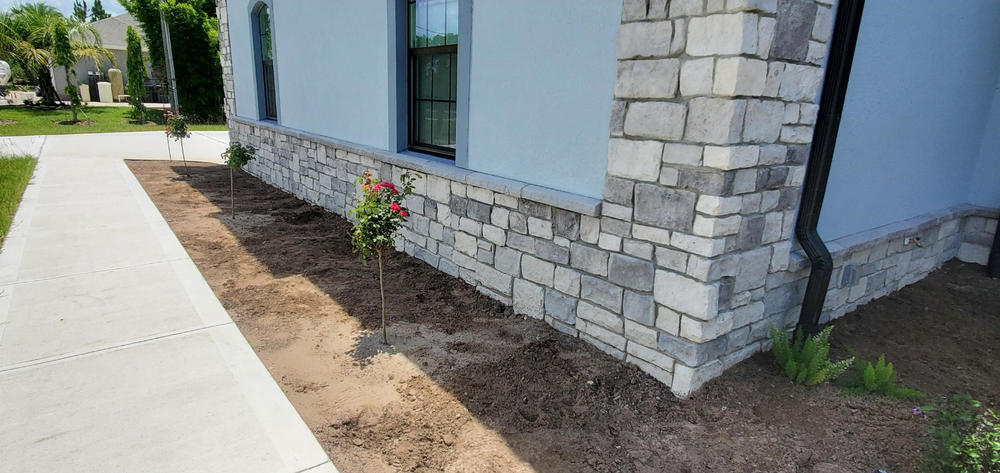 Red Knock Out Rose Trees for Sale – FastGrowingTrees.com