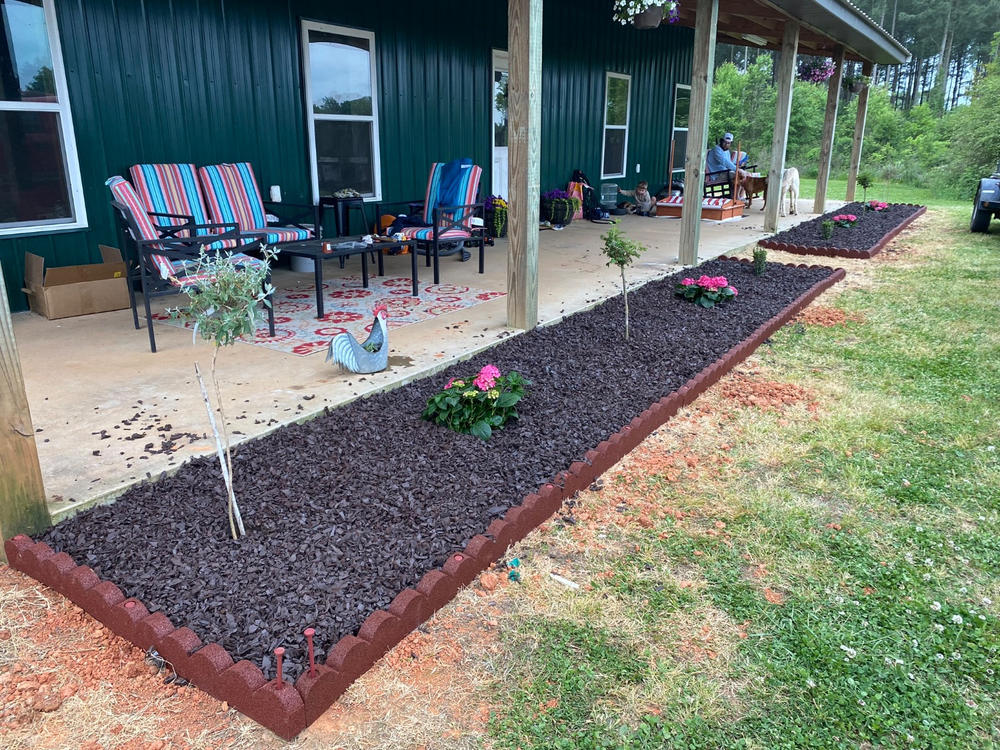 Root Rocket Fertilizer Packs for Sale – FastGrowingTrees.com