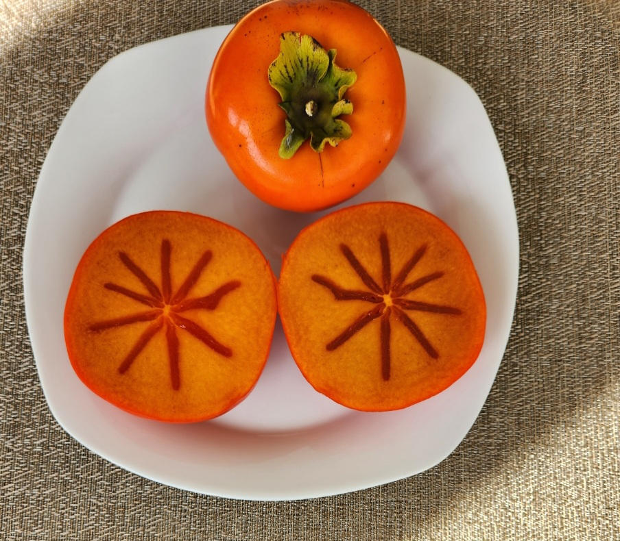 Giant Fuyu Persimmon Trees for Sale – FastGrowingTrees.com