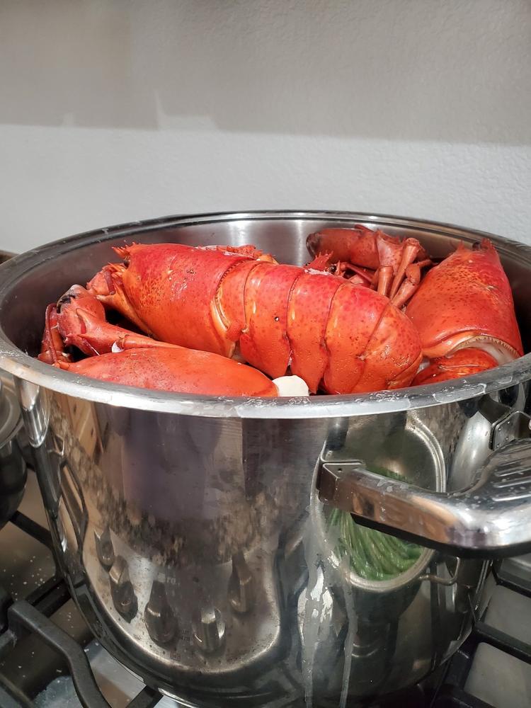 Big Box 12 Live Lobsters (1.2-1.4 LBs) | Shipped from Maine – Get Maine ...