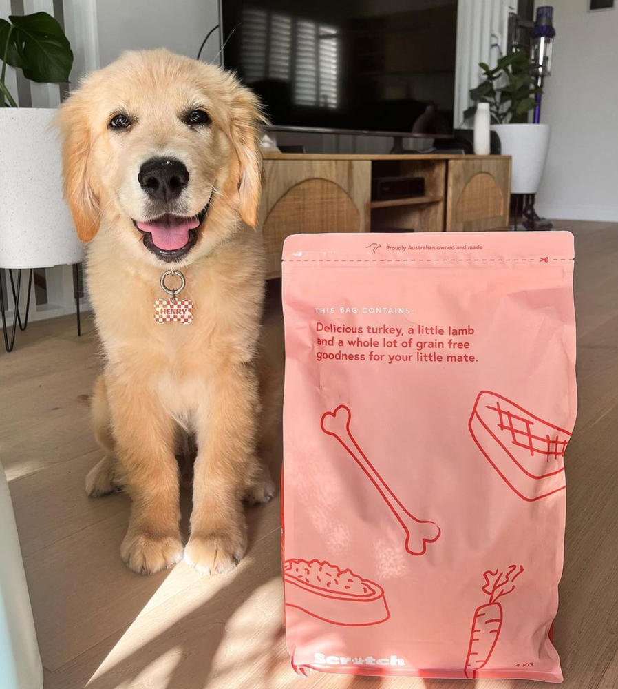 Dog Food Reviews 🐶 | Scratch Pet Food