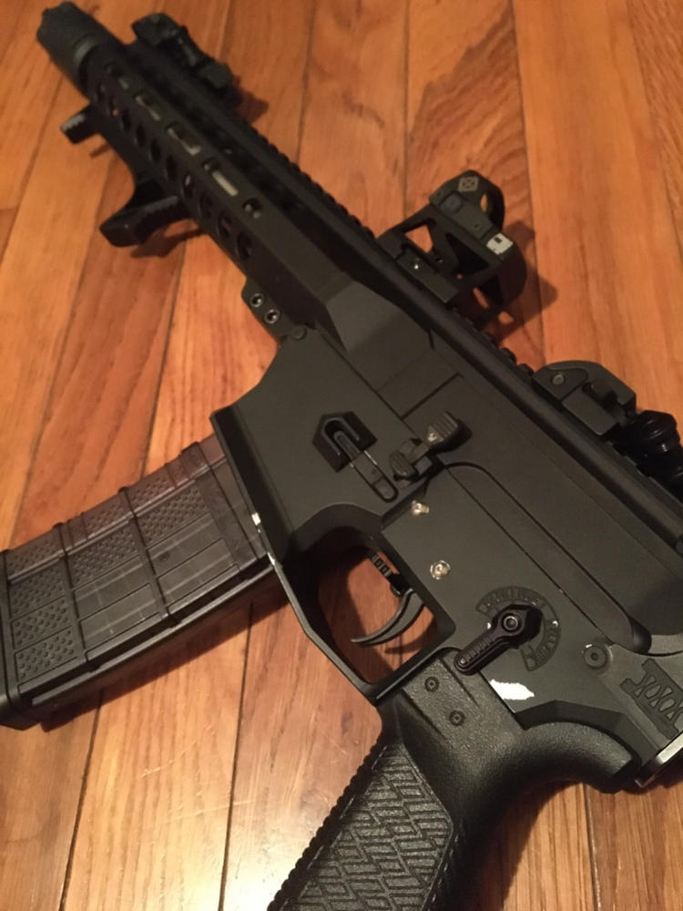 Dirty Bird AR-15 Anti-Walk Pin Set - Black