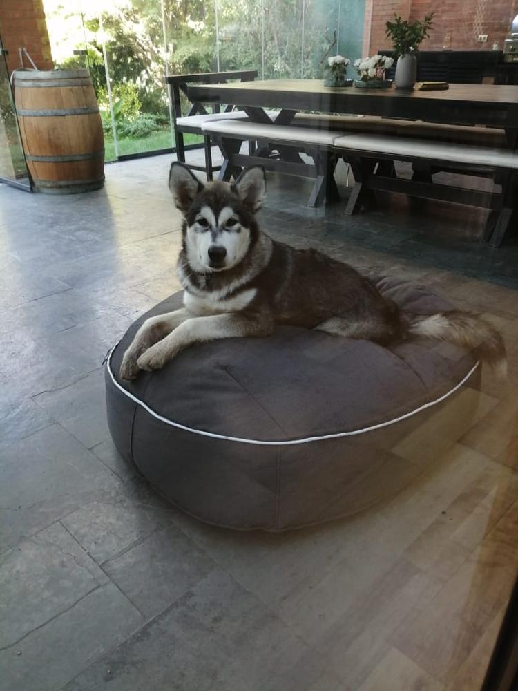 Puff para mascotas: Pon a tu perro querido en la nube 9! | Ambient ...