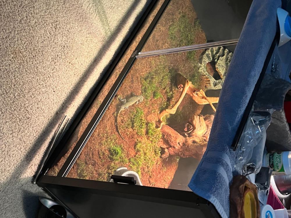 Reptile Habitats 4x2x2 PVC Reptile Enclosure | $299 Free Shipping ...