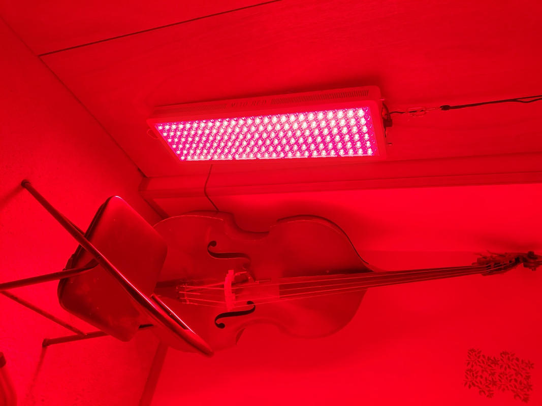 MitoMEGA | Mito Red Light: 1500W Total Body Home Red Light Therapy Panel