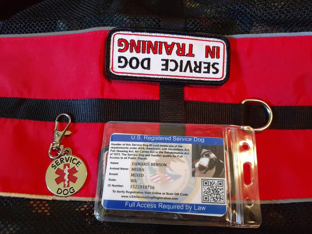 Service Dog Vest and ID Package – USA Service Animal Registration