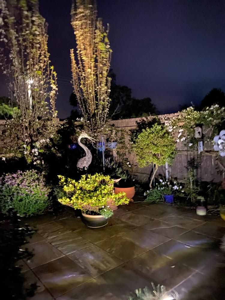Solar Spot Light | Solar Garden LED Spotlights | Hoselink