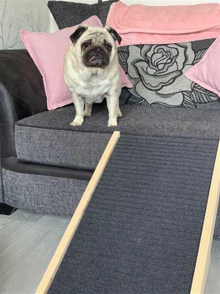 The PawRamp – Alpha Paw LLC