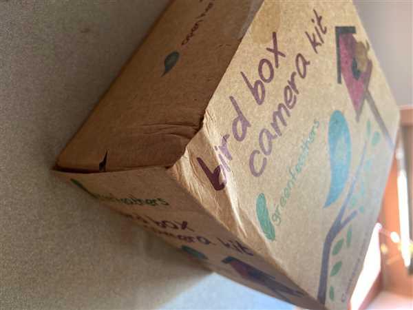 Wireless Bird Box Camera with Night Vision – Green Feathers