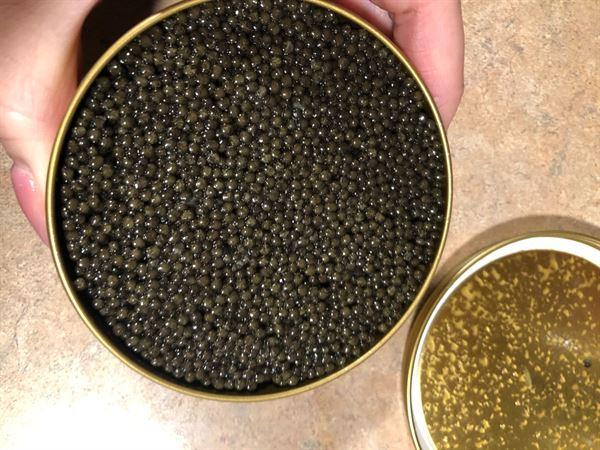 Caviar Sampler – The Caviar Club