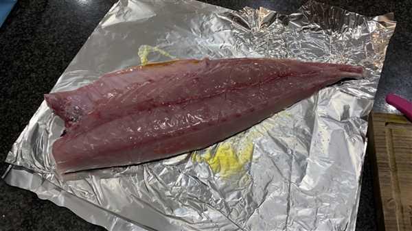 Fresh box | Yellowtail Fillets (2x) | Caught Friday 17/04 (Struisbaai ...