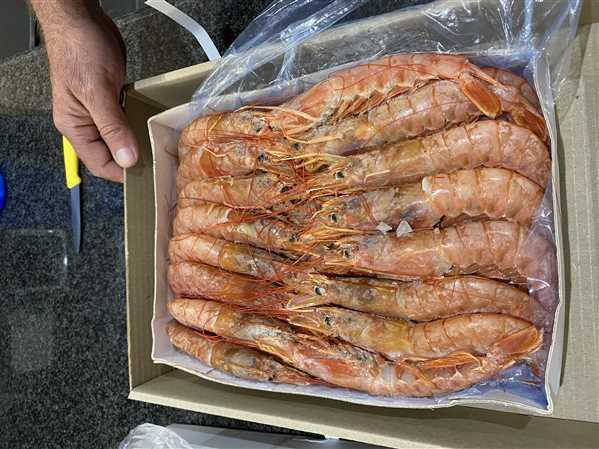 Prawn Lover Box (2kg) – Greenfish