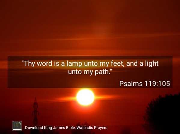 CORTIGON - All Natural Stress Relief & Cortisol Reducer | UMZU