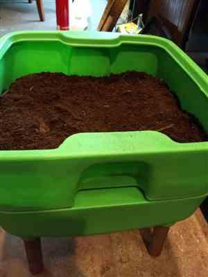 Worm Farm Kit - FREE SHIPPING* - Uncle Jim's Worm Farm
