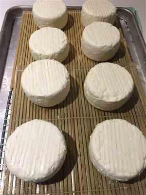 Camembert Cheese Mold | How to Make Cheese | Cheese Making