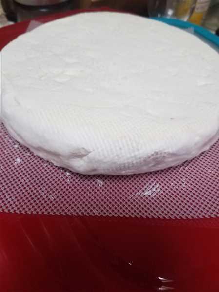 Fine Mesh Cheese Mat for Draining and Aging | Cheese Making
