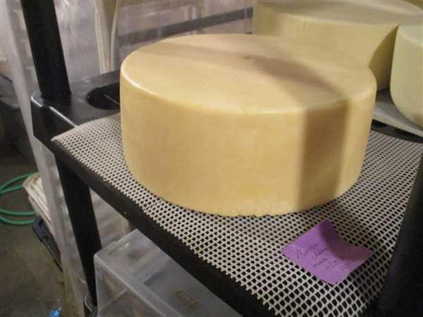 Organic Liquid Vegetable Rennet | Cheese Making Supply Co.