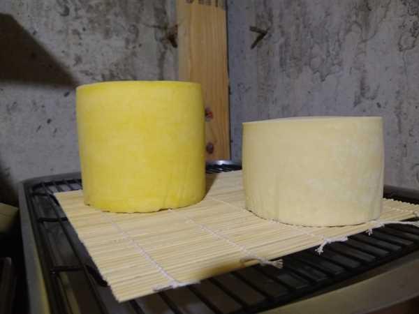 Reed Cheese Mat | How to Make Cheese | Cheese Making Supply