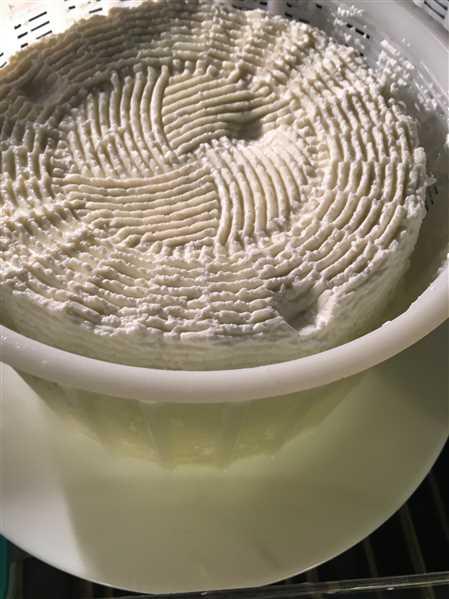 Canestrato Italian Basket Cheese Recipe | Cheese Making