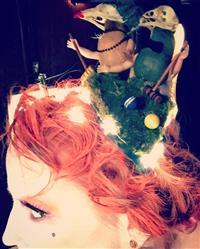 Real Pheasant Skull For Sale – Skulls Unlimited International, Inc.