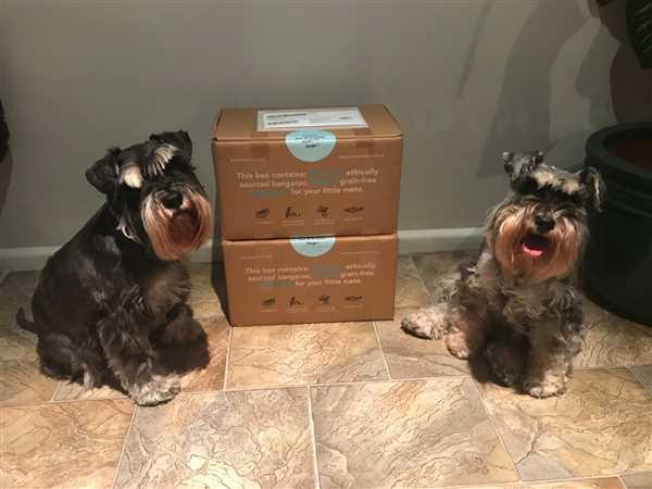 Dog Food Reviews | Scratch