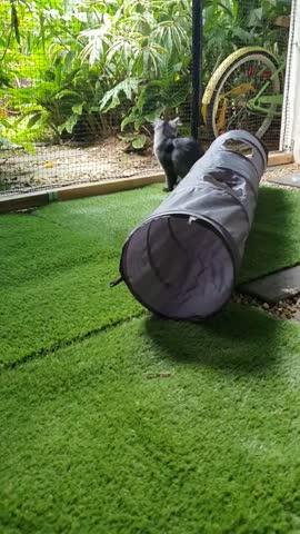 Stainless Steel Complete Wall Net with F-Zipper (3.5m x 3.5m Net) – Catnets