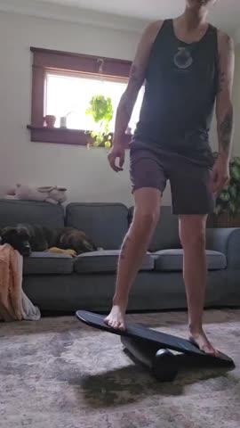 REVBALANCE 101 v2 Balance Board Trainer | Balance Training - Buy now